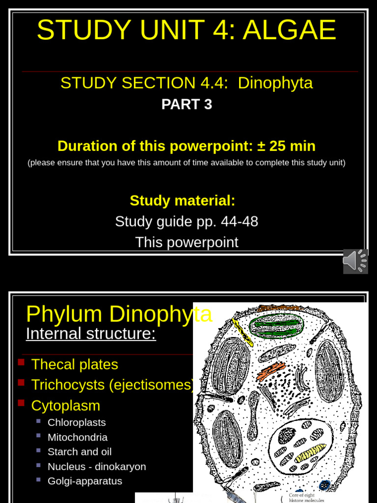 SS4.4 - Dinophyta Part 3 - VO | PDF | Algae | Organisms