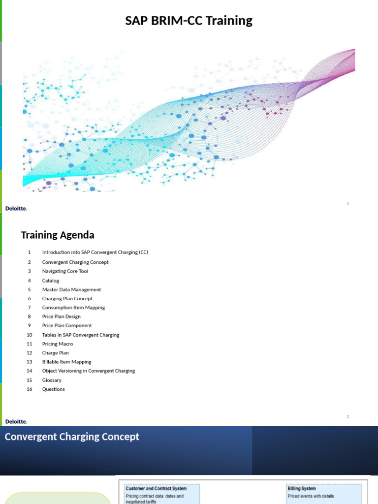 BRIM CC Training Mod | PDF | International Financial Reporting ...