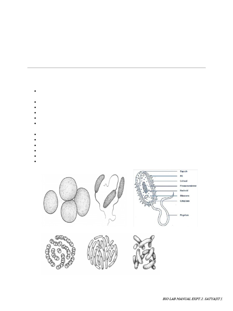Plant Specimen Identification Guide | PDF | Cyanobacteria | Fern