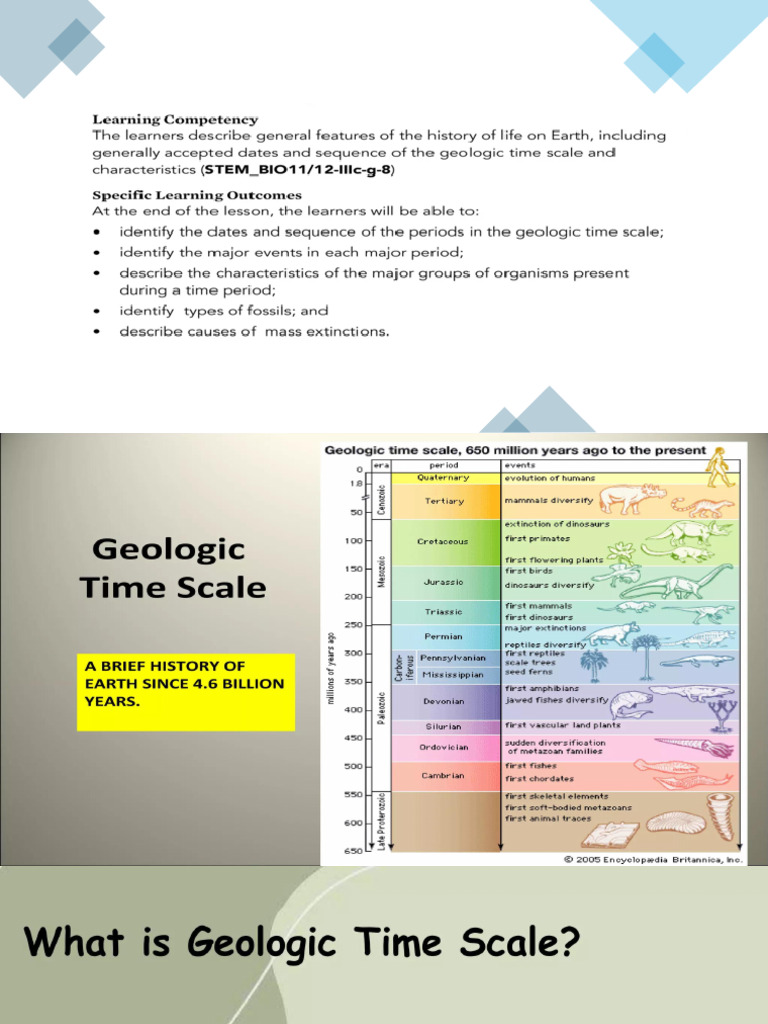 Lesson 2 Geologic Time Scale | PDF
