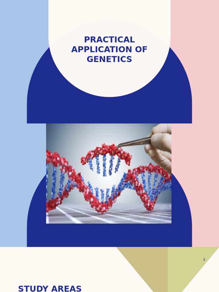 Practical Application of Genetics | PDF | Genetic Engineering ...