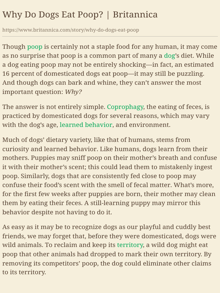 Reasons Dogs Eat Poop Explained | PDF | Dogs | Feces