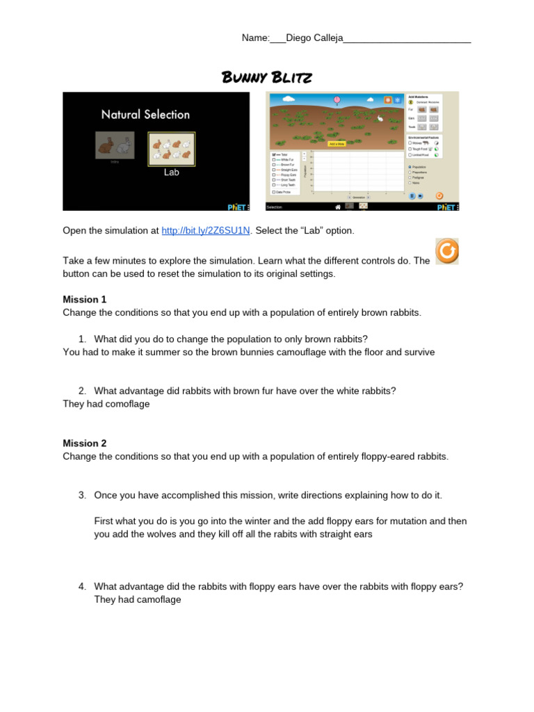Bunny Blitz: Floppy-Eared Rabbit Guide | PDF