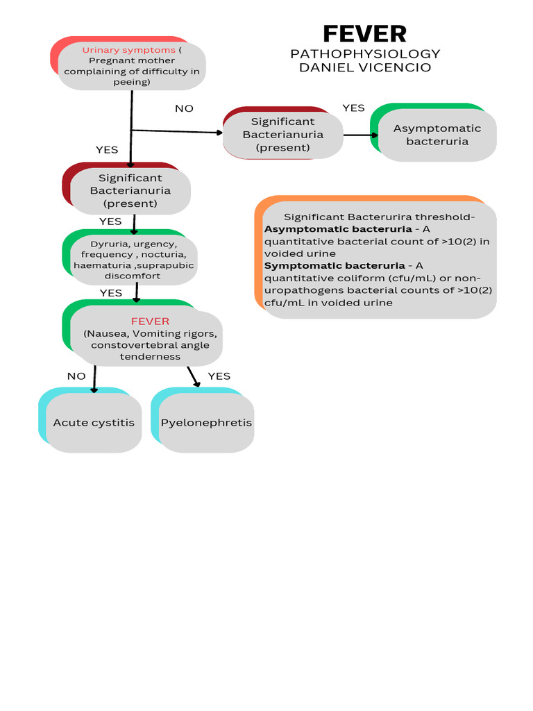 Pyelonephritis Overview by Dr. Vicencio | PDF