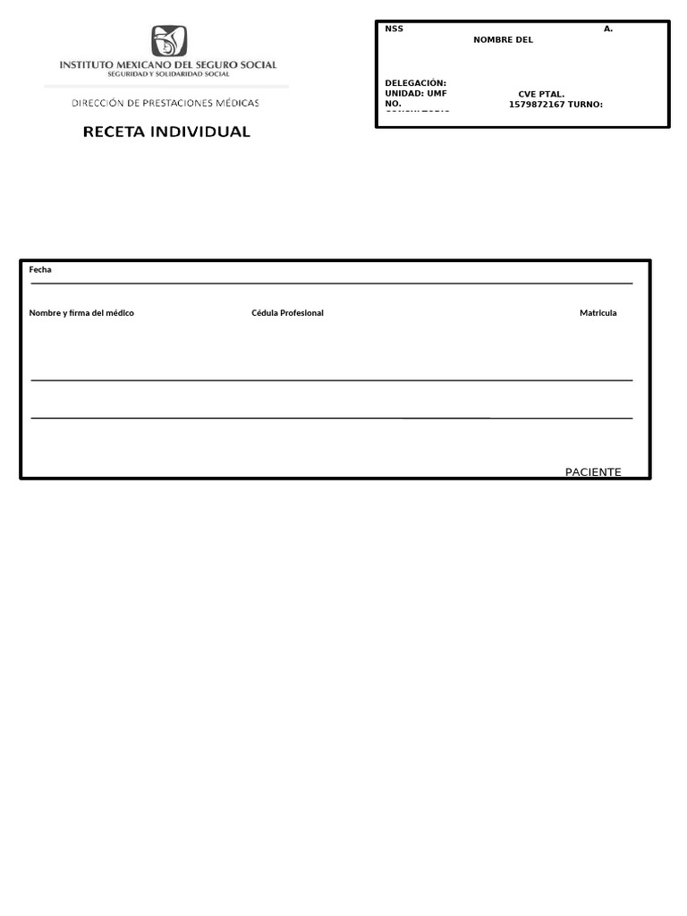 Receta-IMSS-editable 4 | PDF