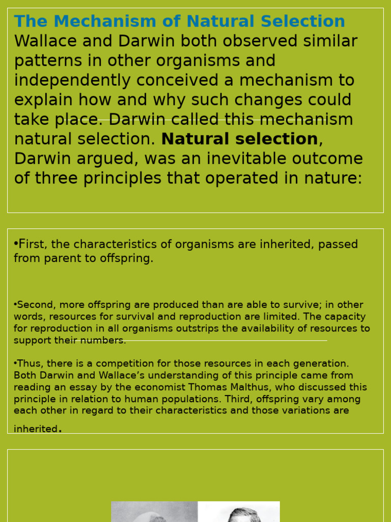 Natural Selection | PDF