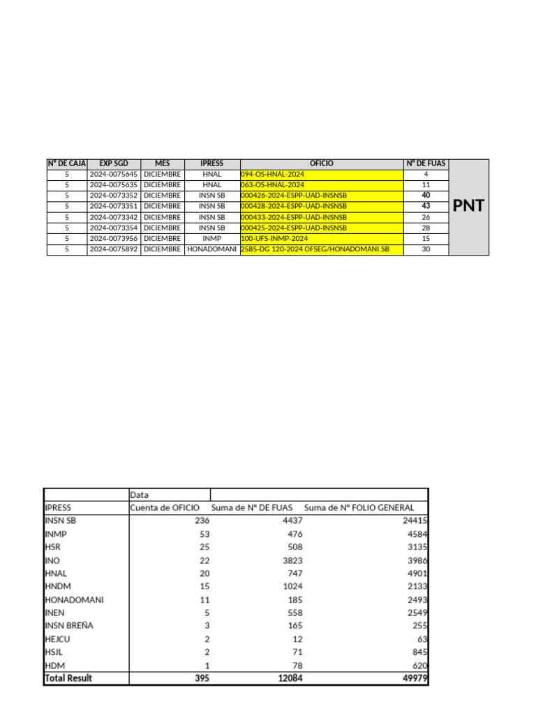 CONSOLIDADO PNT - 2024 (1) | PDF