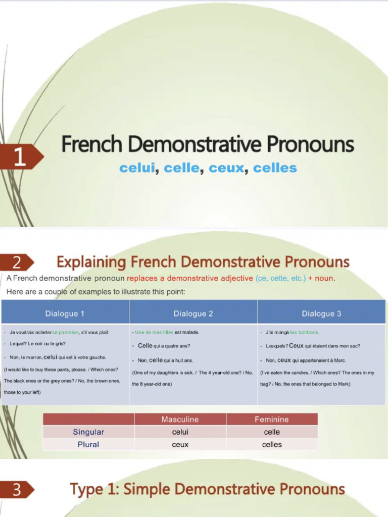 Demonstrative Pronouns Notes | PDF