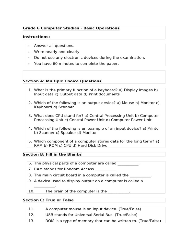 Grade 6 Computer Studies | PDF