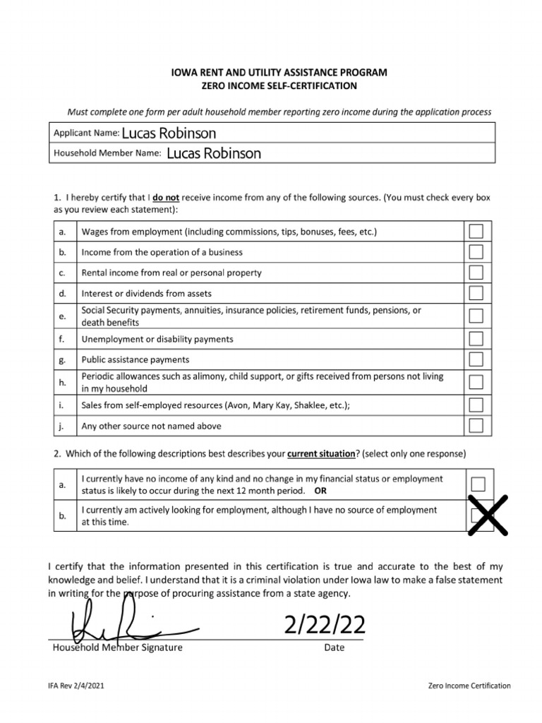 Zero Income Self Certification | PDF