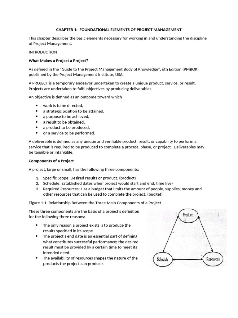 Project Management CHAPTER 1 | PDF | Project Management | Business