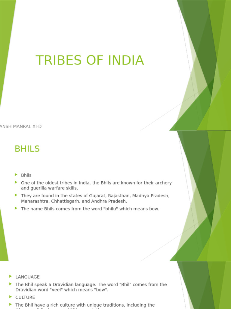 Tribes of India: Bhils, Santhals, Mundas, Bhutias | PDF