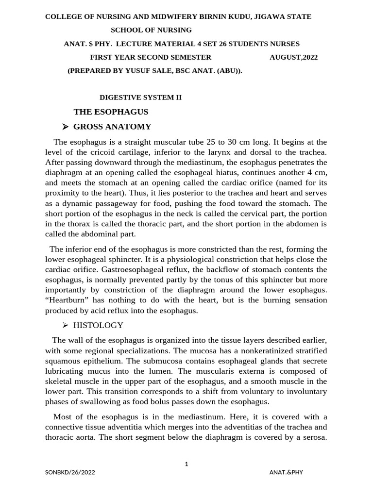 ST26 GIT 2 | PDF | Stomach | Esophagus