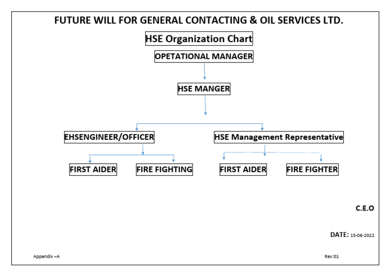 Organization Chart Hse | PDF