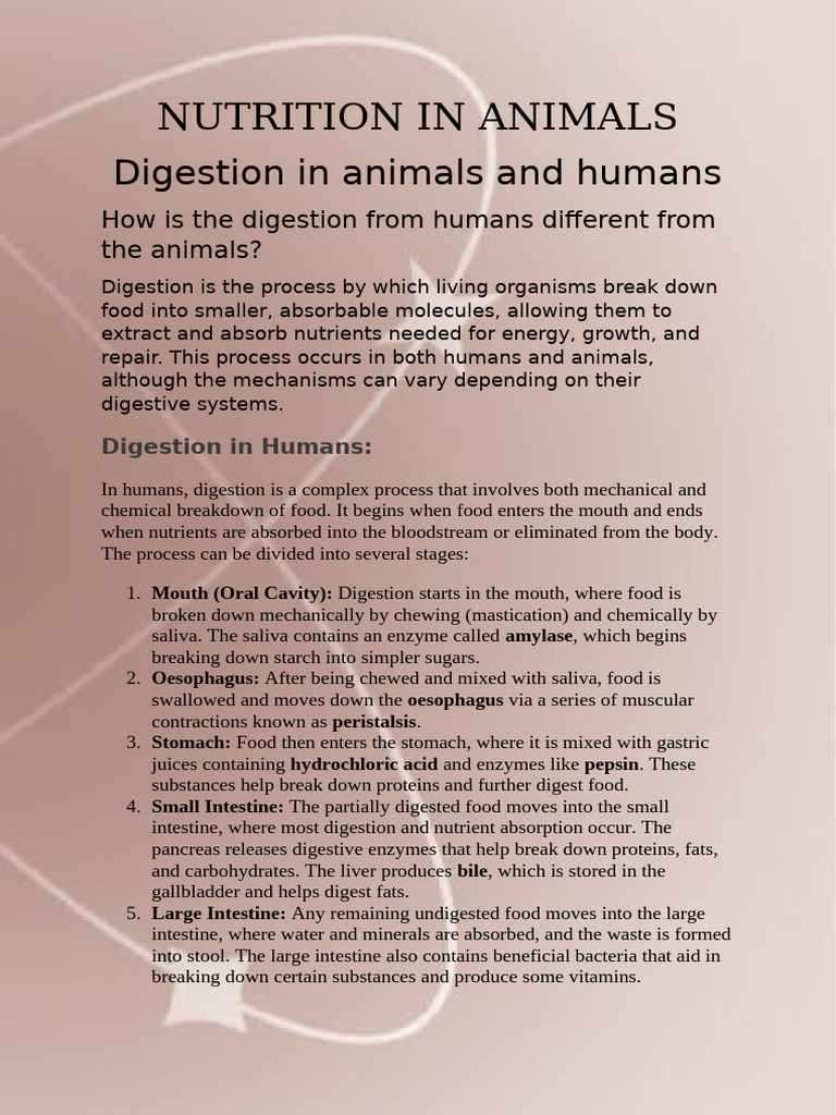 Portfolio(nutrition in animals) | PDF | Digestion | Foods