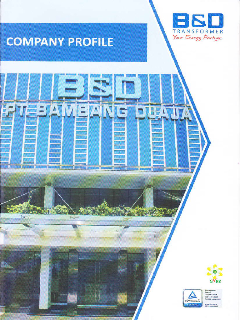 B&D Company Profile Overview | PDF