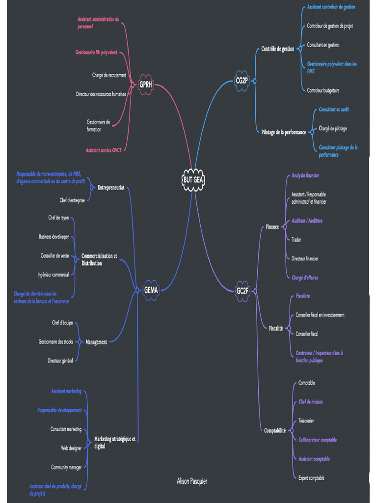 AlisonPasquier MindMap | PDF