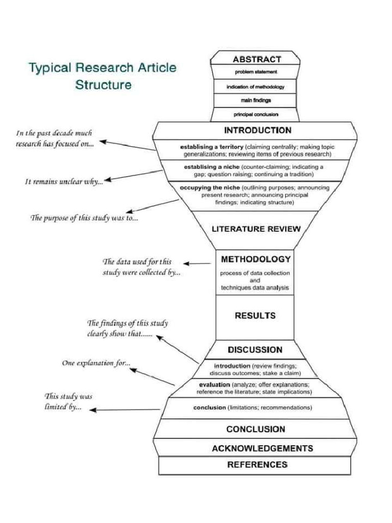 King Model | PDF