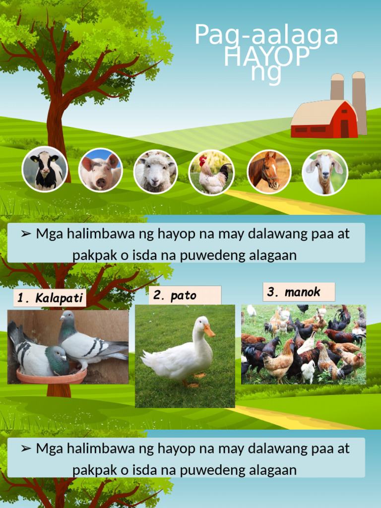 Epp 5 Q2 | PDF