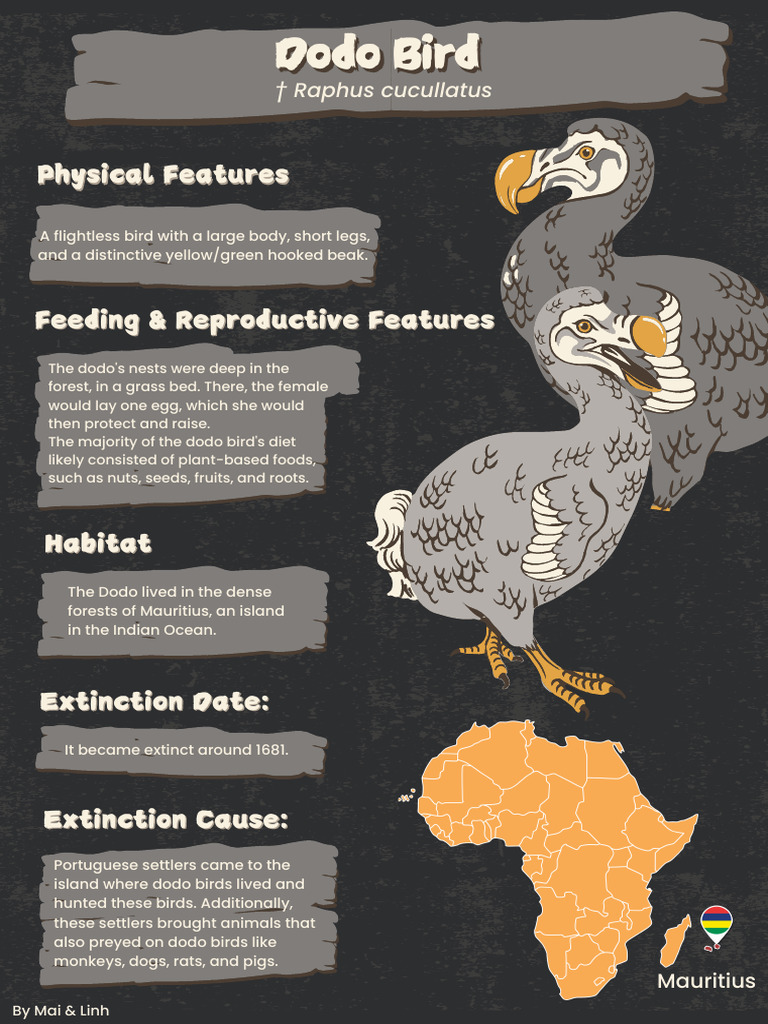 Dodo Bird | PDF