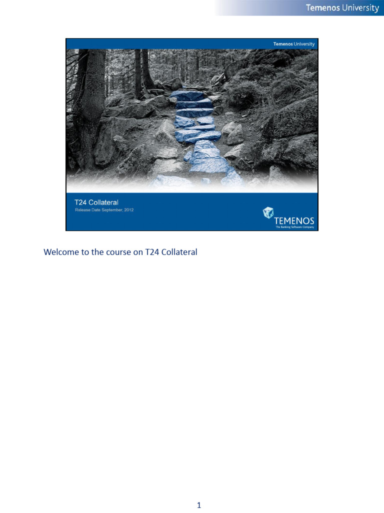 T24 Induction Business - Collateral | PDF | Collateral (Finance) | Banks