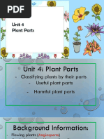 Skeletal and Muscular System GIU Grade 4 - With Ans Key | PDF | Muscle ...