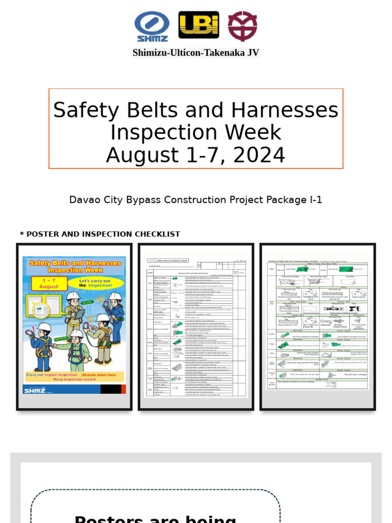Safety Belts and Harnesses Inspection Report-PC13895 | PDF