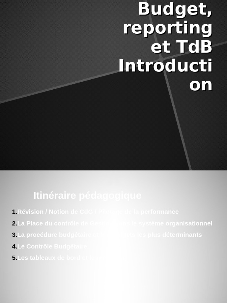 CONTROL DE GESTION Budget Et TDB | PDF | Investir | Budget