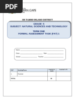 2023 NST Grade 4 Practical Term 1 | PDF | Birds | Cognition