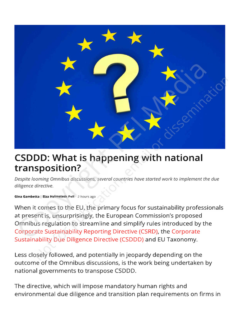 RI-CSDDD What Is Happening With National Transposition | PDF