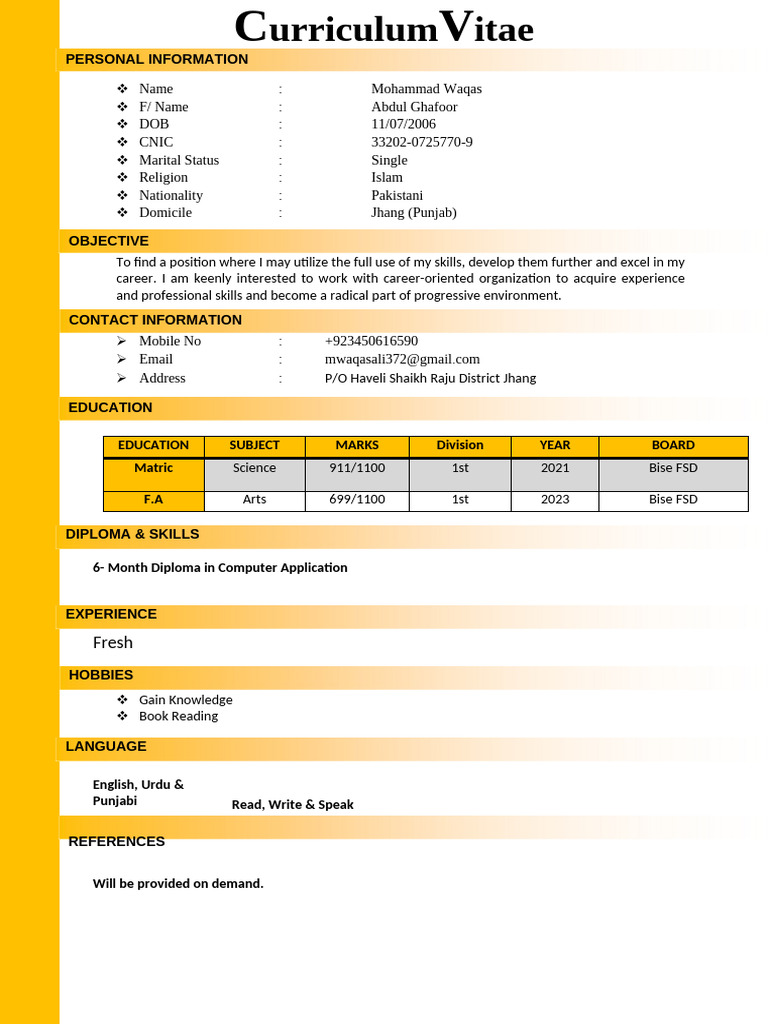 Waqas - New CV | PDF