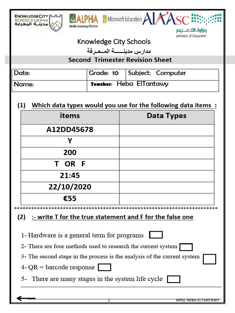 Grade 10 Computer Sheet | PDF | Computer Data Storage | System
