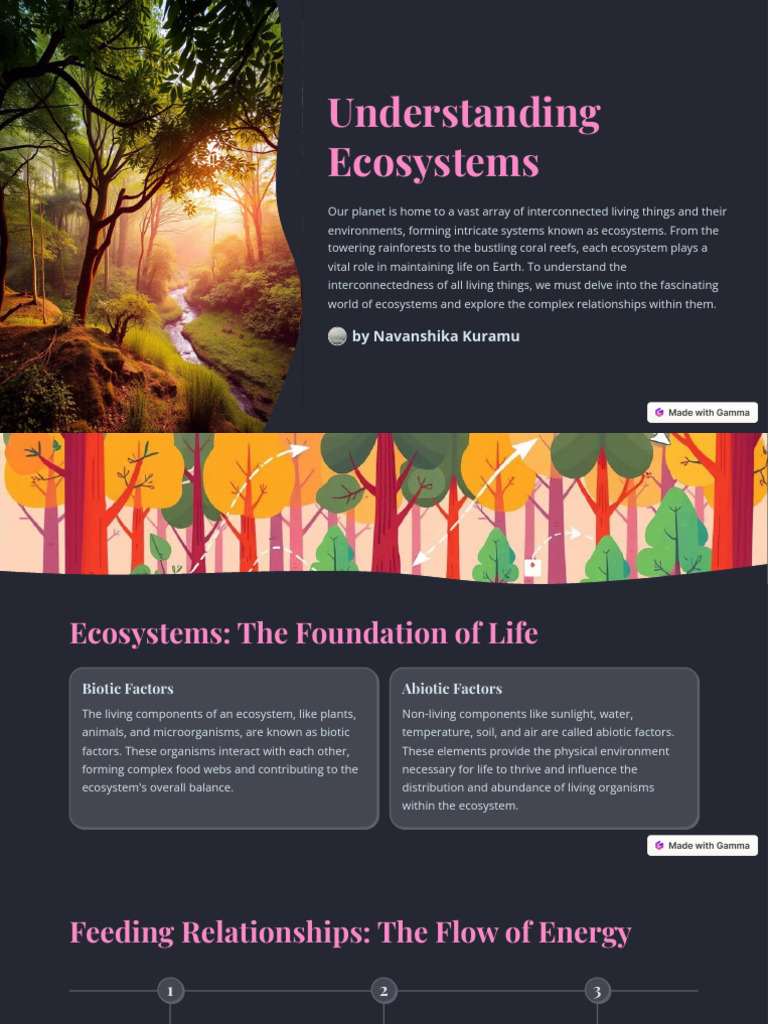 Ecosystems: Interconnected Life Systems | PDF | Food Web | Ecosystem