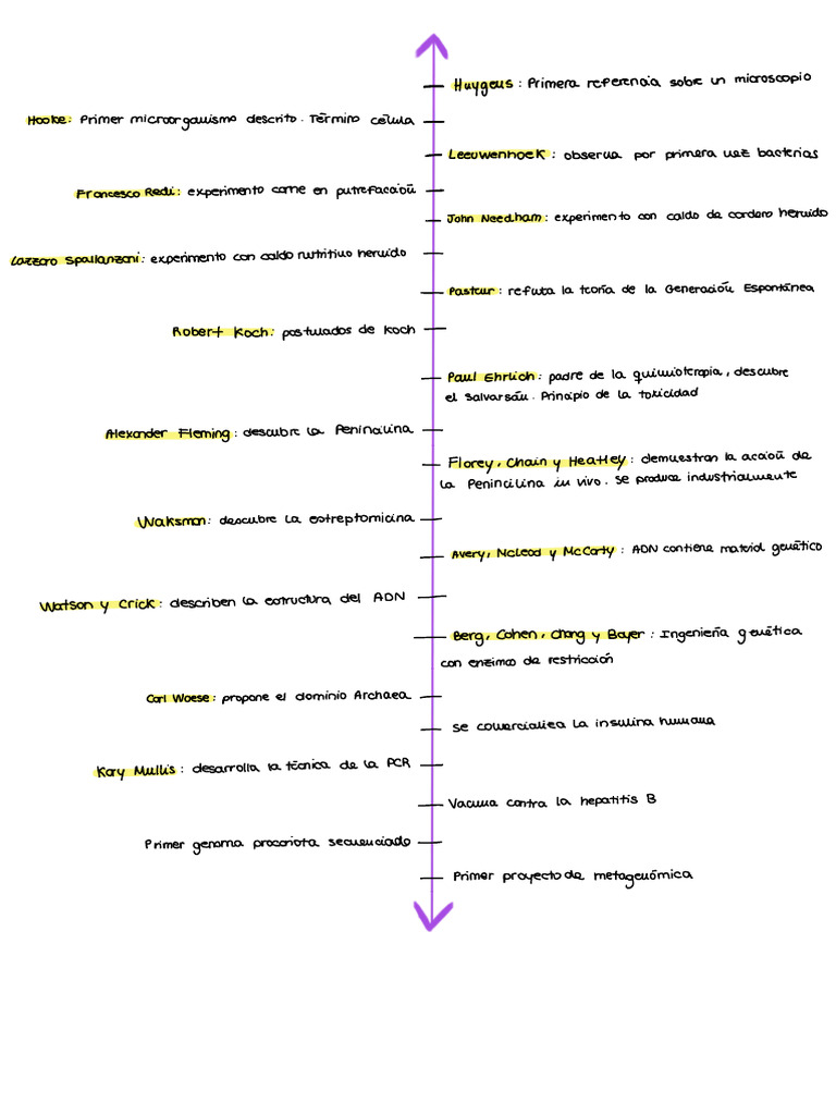 Linea Temporal T1 | PDF