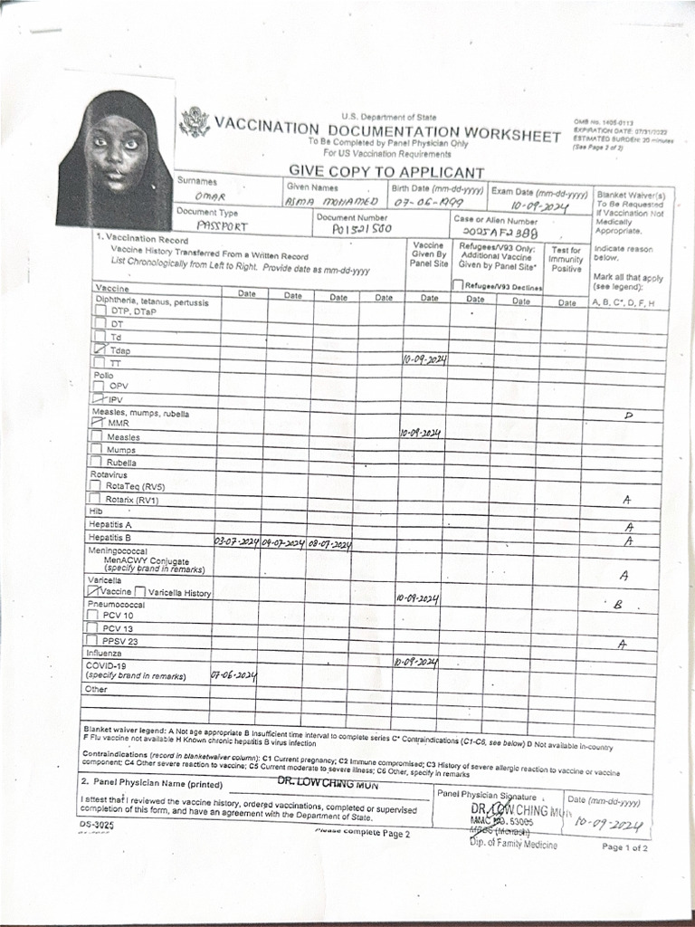 Vaccination Documentation Worksheet | PDF