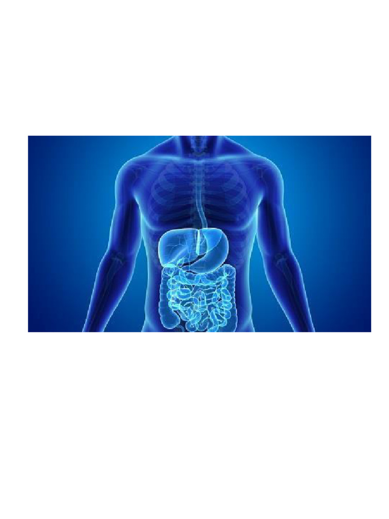 Buku Skillab Git 2024 | PDF