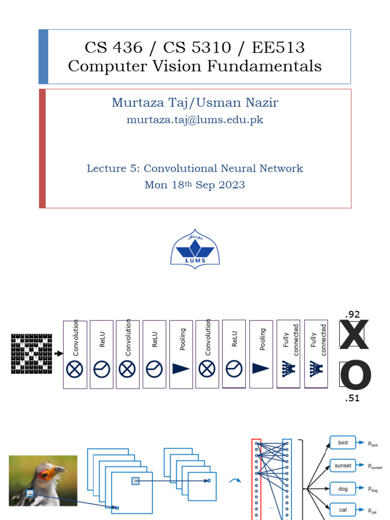 CNN Fundamentals & Case Studies | PDF | Applied Mathematics | Algorithms