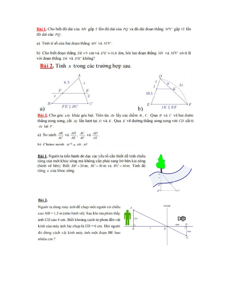 BT Định Lý Thales | PDF