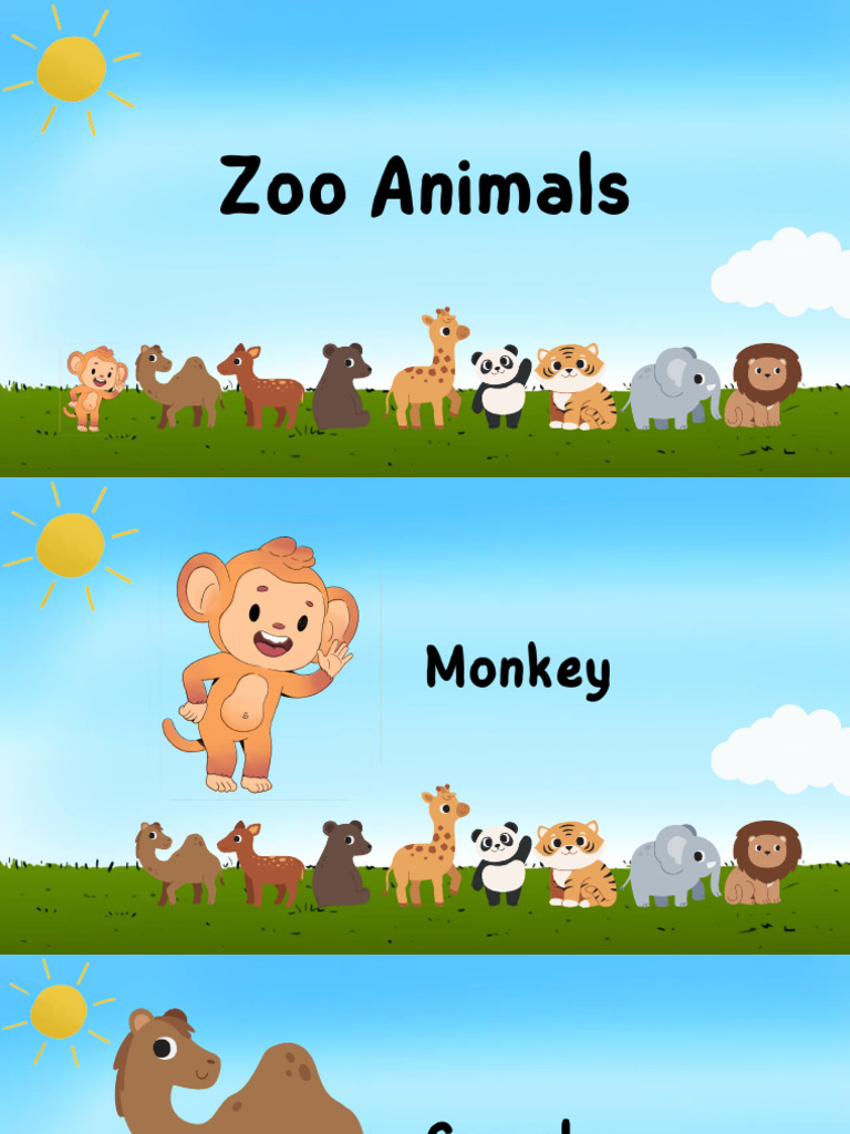 Nature Illustrated Zoo Animals Education Video - 20250212 - 183352 ...
