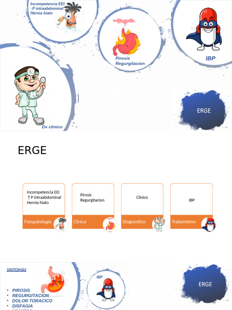 Erge Infografia | PDF