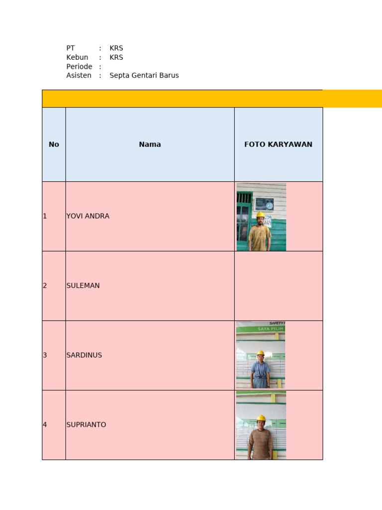 Skill Assessment Matrix for Mechanics | PDF