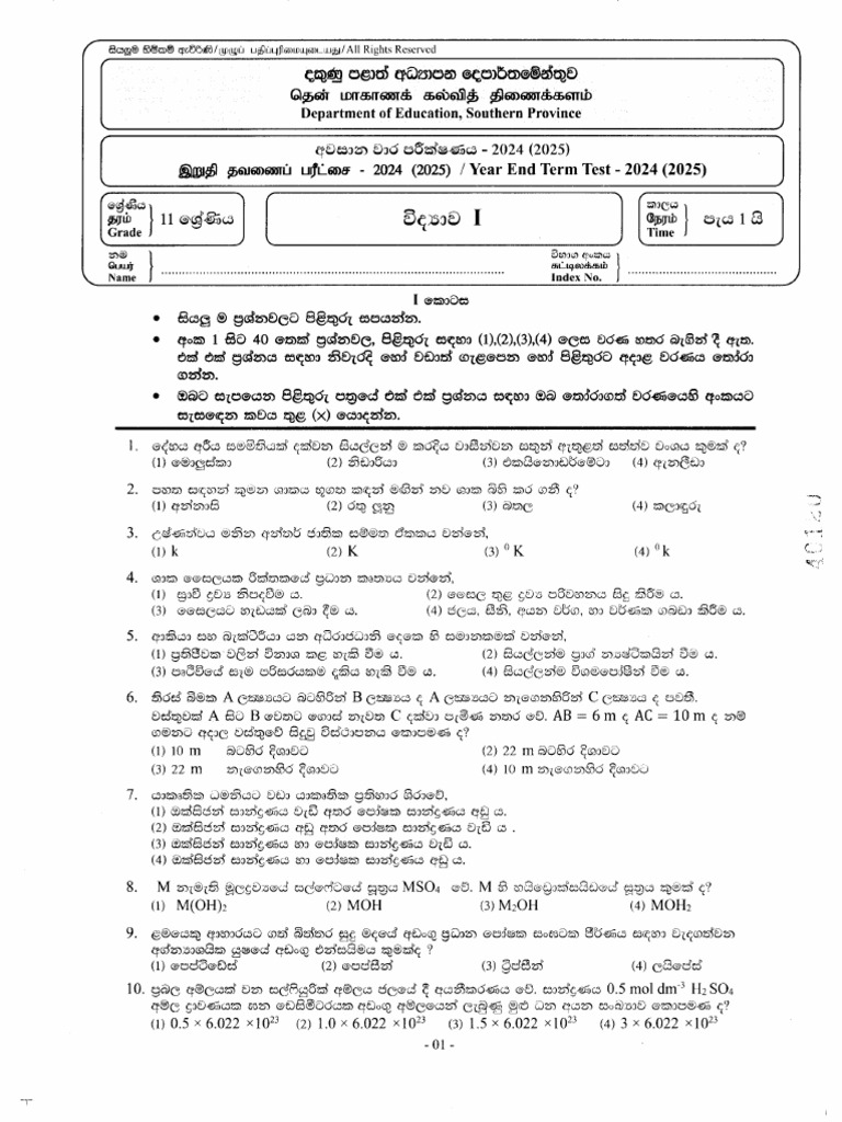 GR 11 Sci 3rd T Southern Pro 2024 | PDF