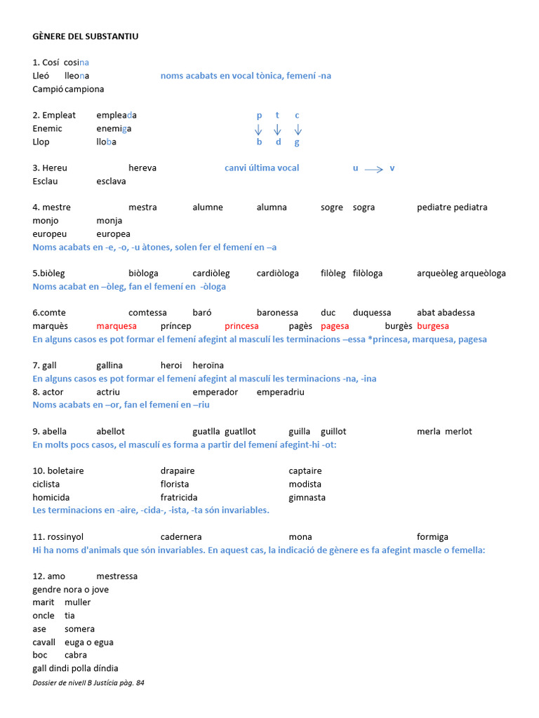 GÈNERE DEL SUBSTANTIU Alumnes Teoria | PDF