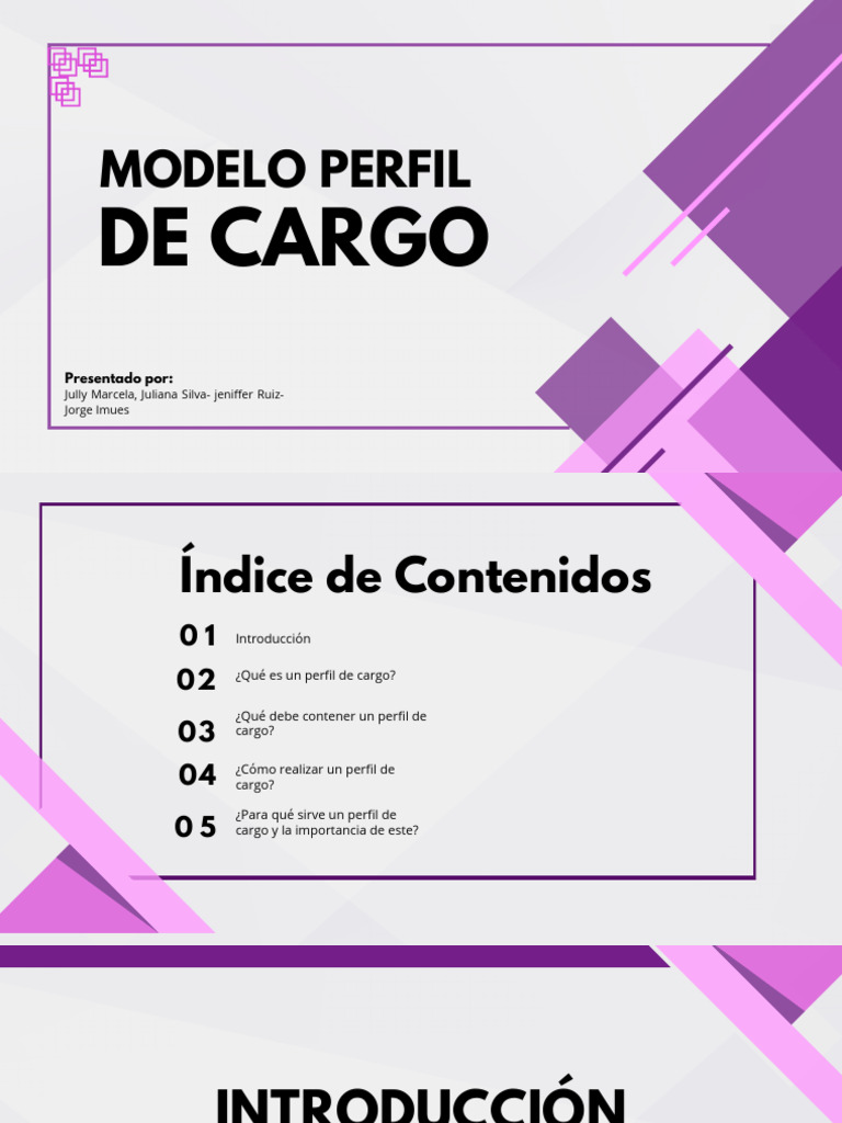 PERFIL DE CARGO | PDF | Gestión de recursos humanos | Business