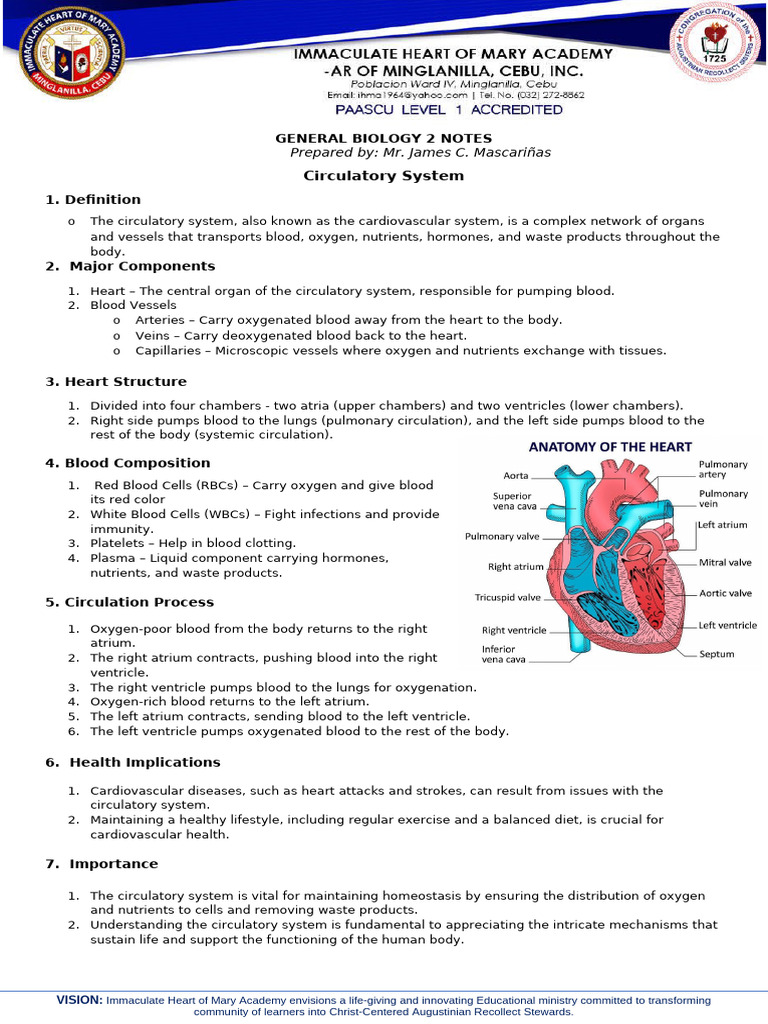 General Biology 2: Circulatory, Digestive, Endocrine Systems | PDF ...