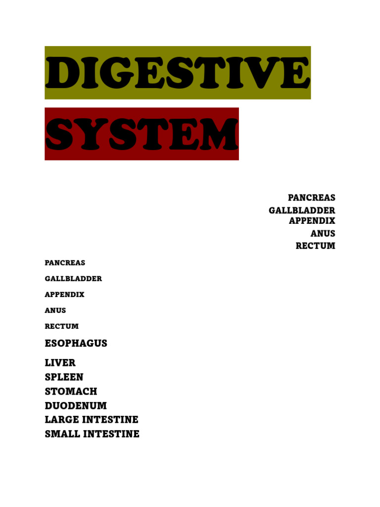 Digestive System | PDF