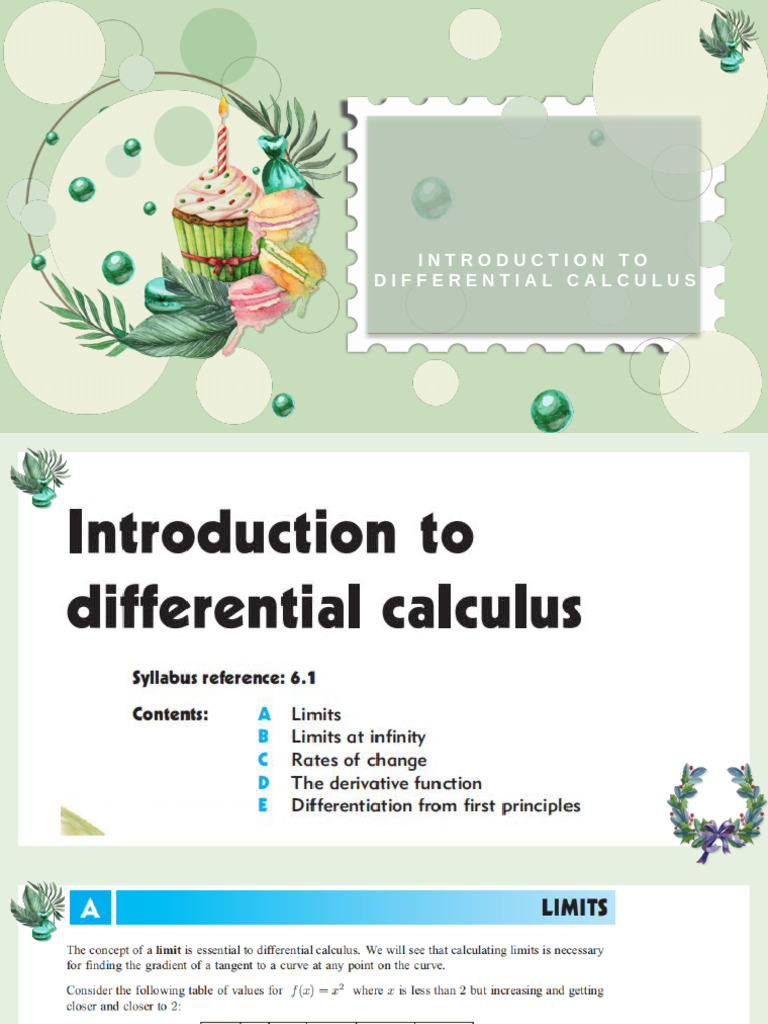 Introduction To Differential Calculus | PDF