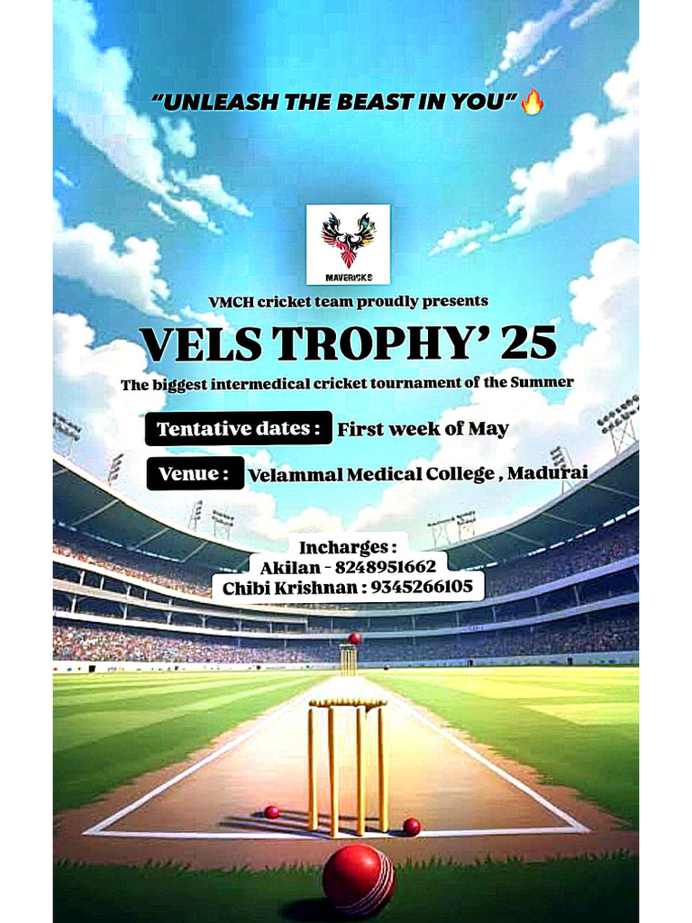 VELS Brochure | PDF