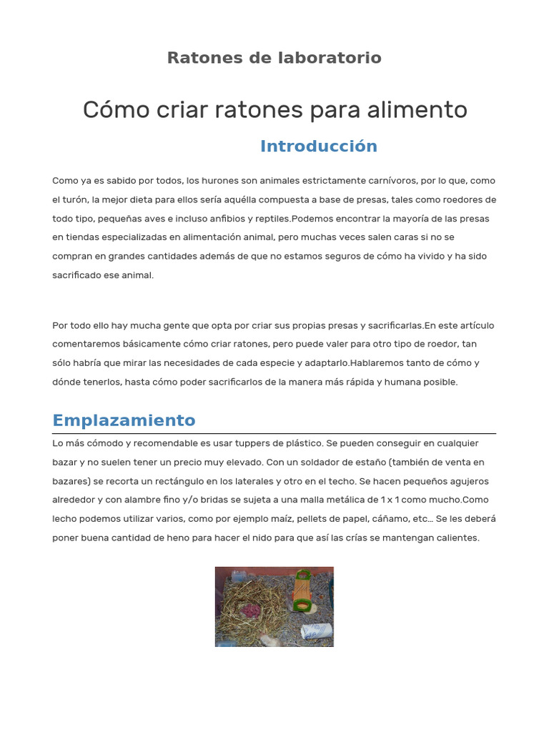 Ratones de Laboratorio | PDF | Hembra