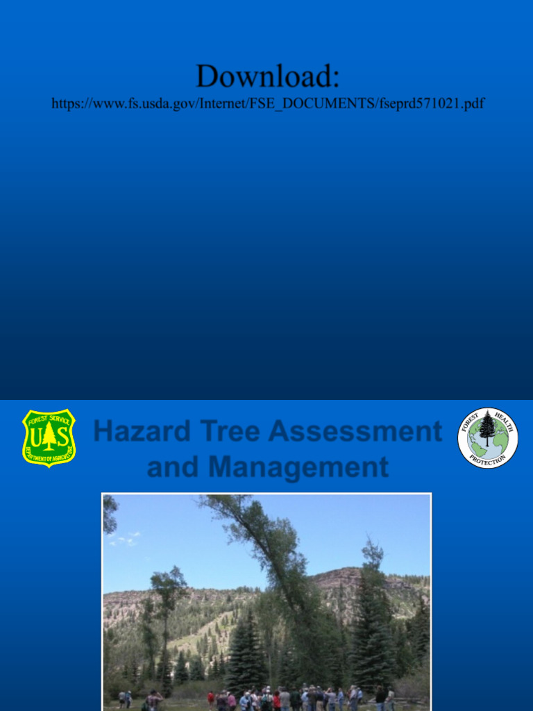 Hazard Tree Assessment Management | PDF | Wood | Trees